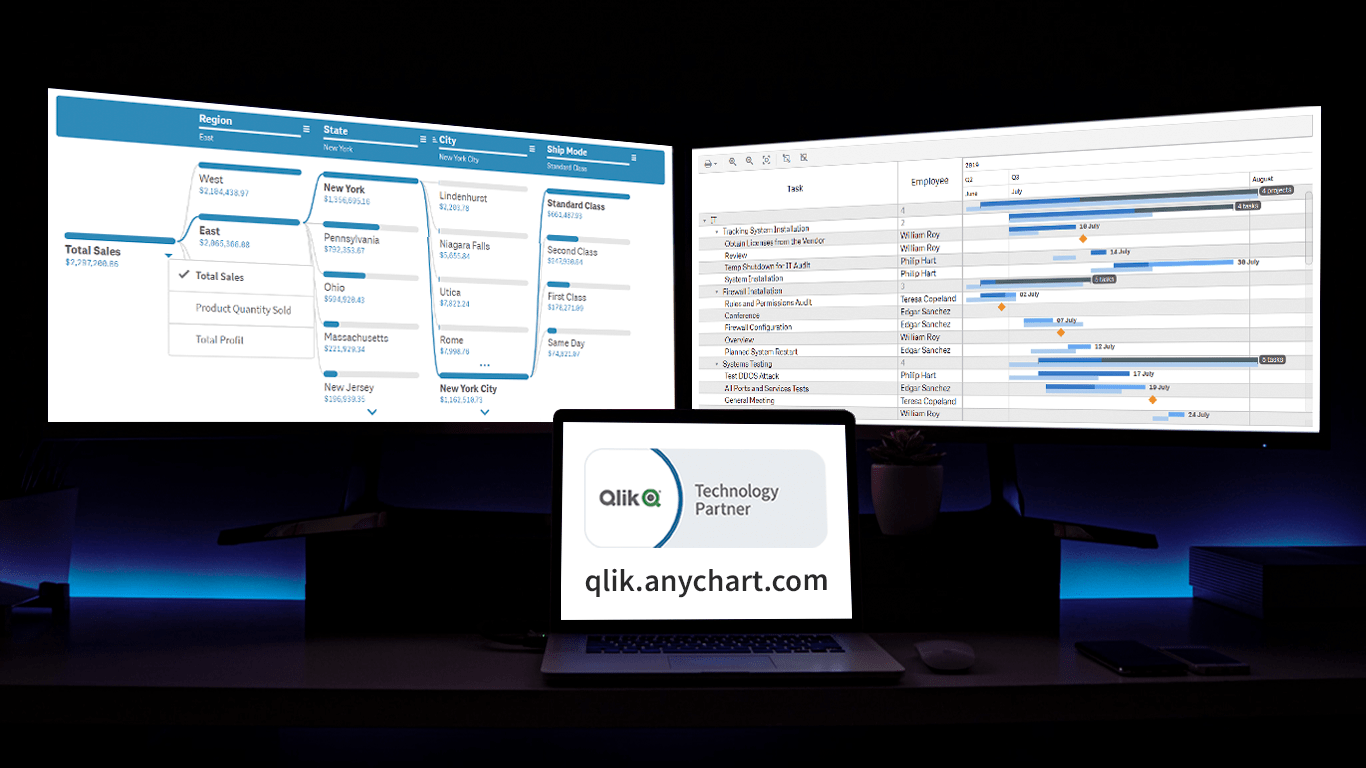 Elevated Data Control & Customization in Qlik Sense Extensions